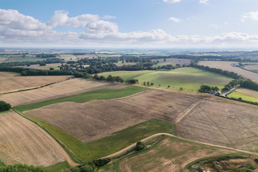 Treetops Wiganthorpe Terrington York 34186181 | Estate Agent York